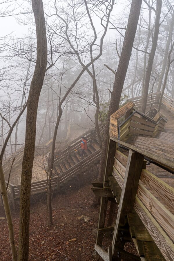 The Only New River Gorge Itinerary You Need! (1-5 epic days)