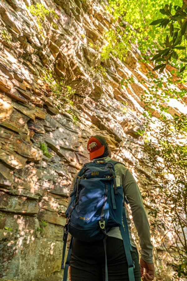 Grandview Rim Trail to Turkey Spur Rock: 2026 Hiker's Guide