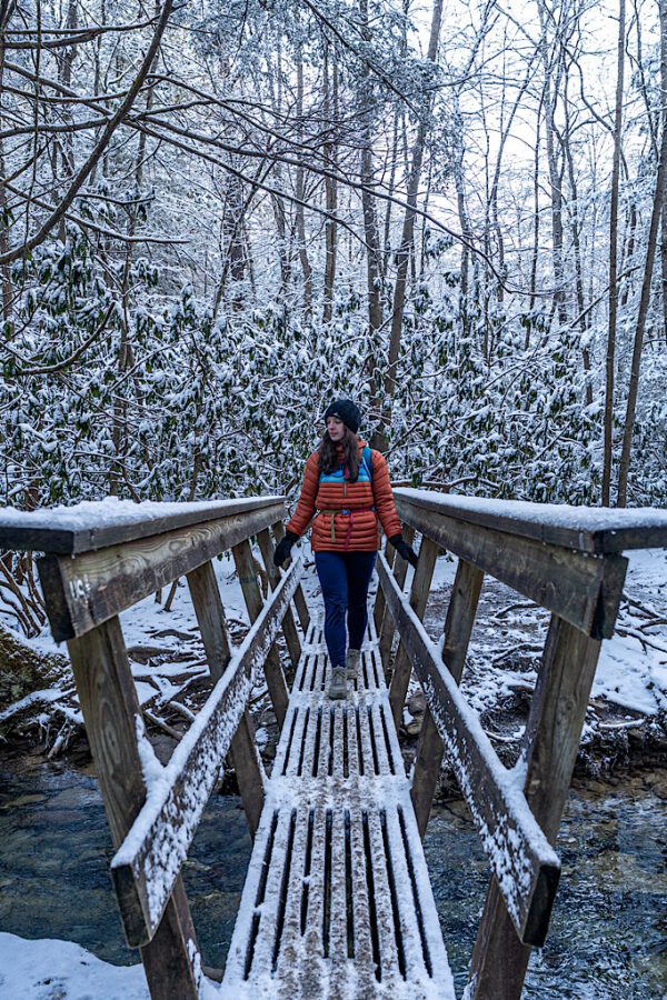 Endless Wall Trail in New River Gorge: 2026 Hiker's Guide