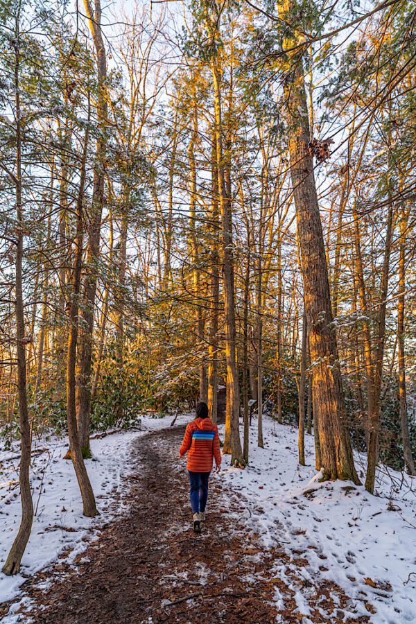 Ultimate Guide to Hiking Long Point Trail in New River Gorge (2026)
