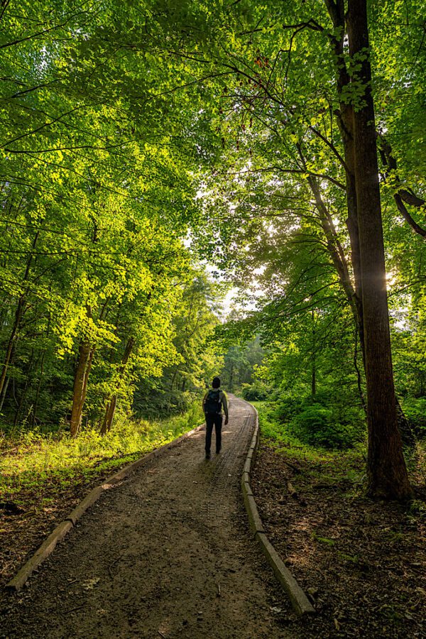 Ultimate Guide to Hiking Long Point Trail in New River Gorge (2026)