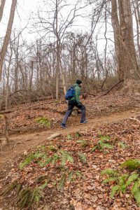 Beginner's Guide to the Old Rag Rock Scramble (2026)