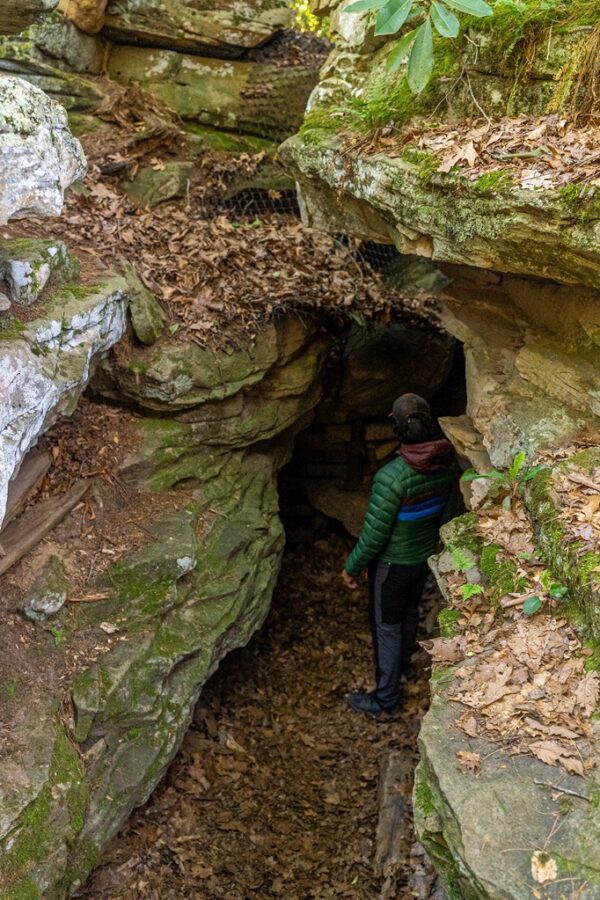 8 Best Hikes in New River Gorge You Can't Miss! (2026)