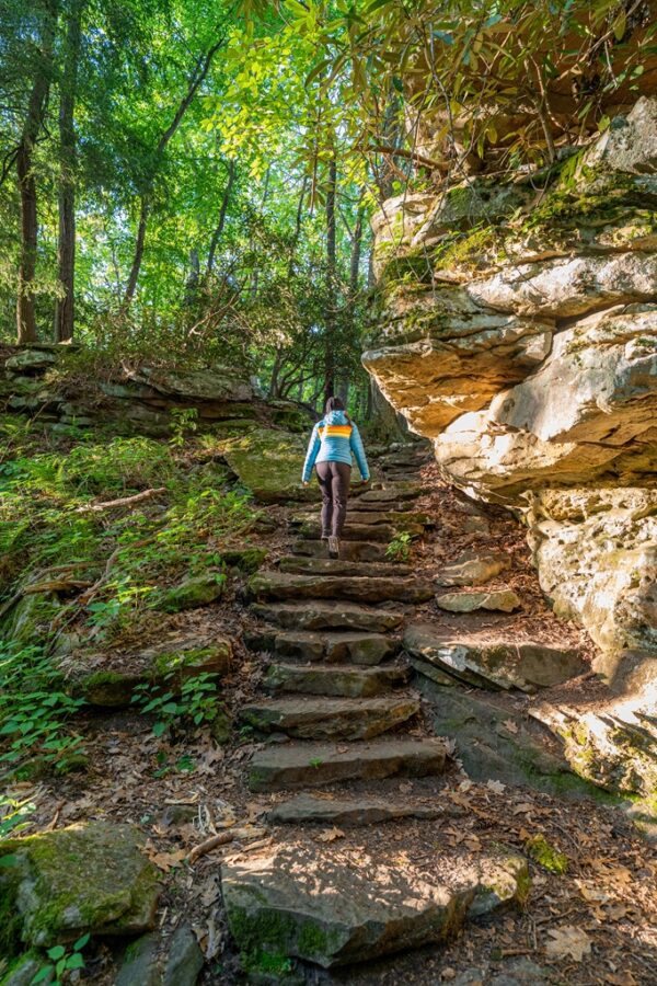 8 Best Hikes in New River Gorge You Can't Miss! (2026)