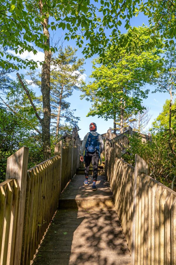 Grandview Rim Trail to Turkey Spur Rock: 2026 Hiker's Guide