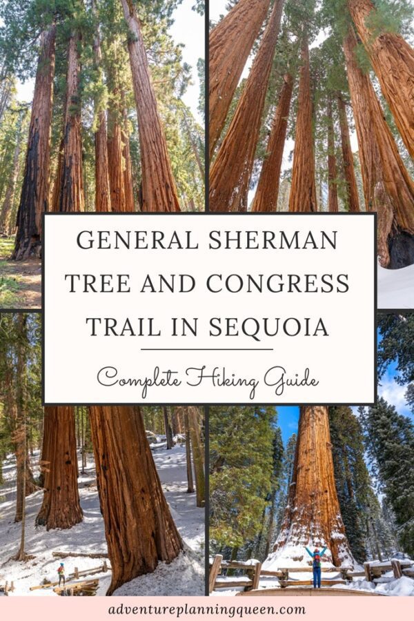 General Sherman Tree Trail and Congress Trail (2026 guide)