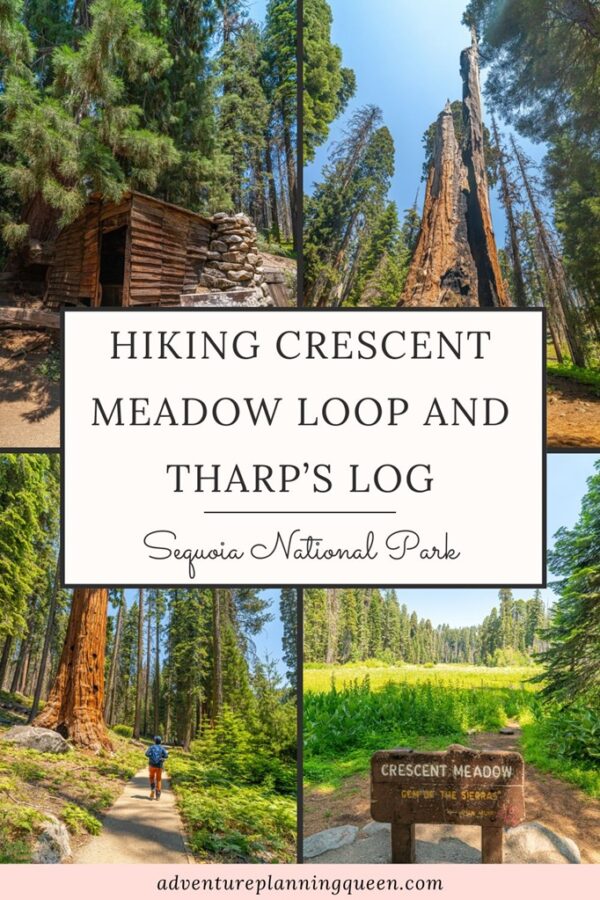 Hike Crescent Meadow Loop Trail and Tharp's Log in Sequoia (2026)