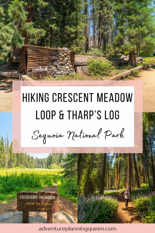 Hike Crescent Meadow Loop Trail and Tharp's Log in Sequoia (2026)
