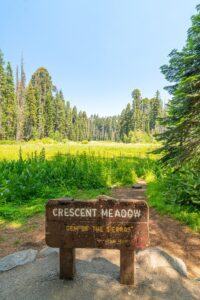 Hike Crescent Meadow Loop Trail and Tharp's Log in Sequoia (2026)