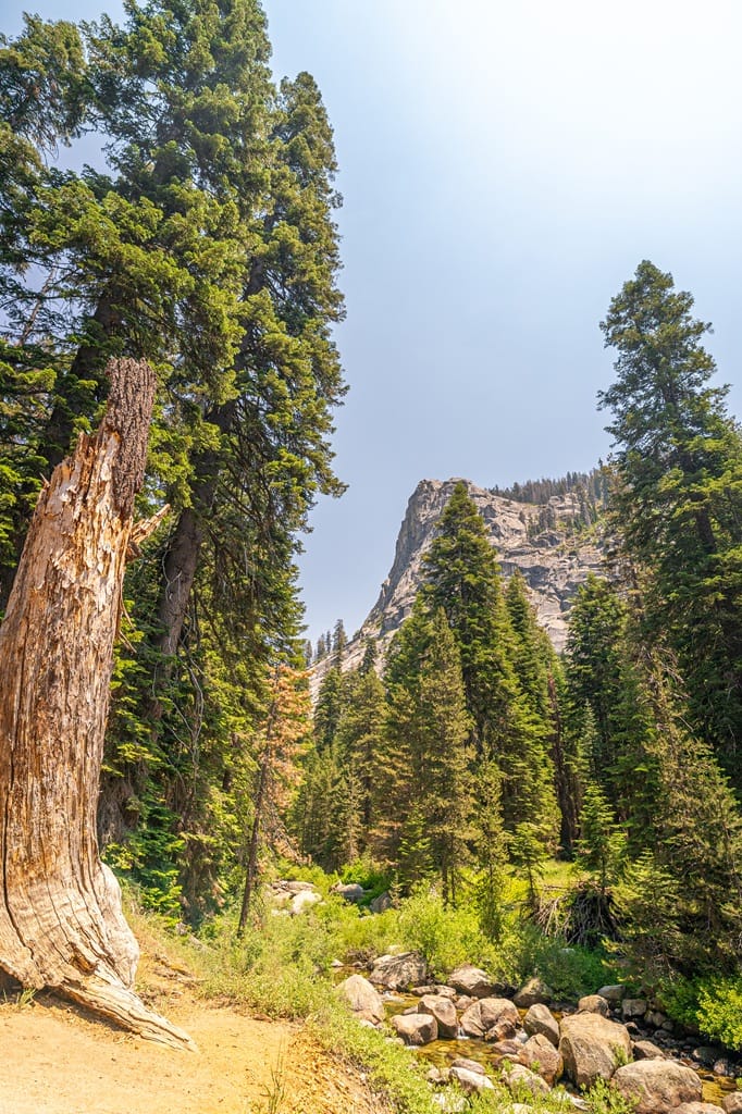 Tokopah Falls Trail in Sequoia National Park (2025 guide)