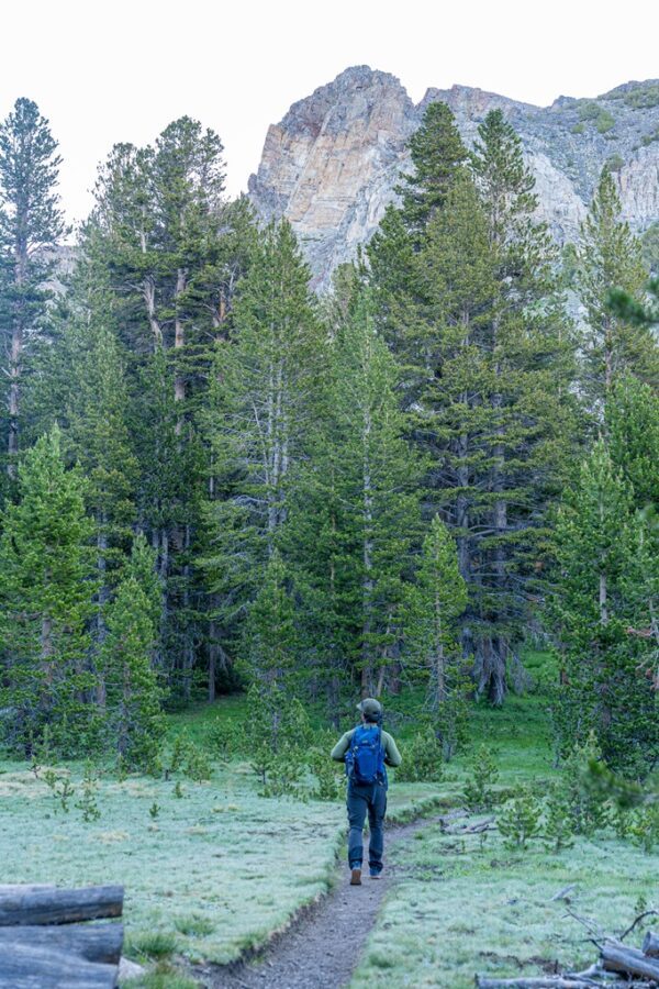Ultimate Guide to Hiking Mount Dana in Yosemite (2026)