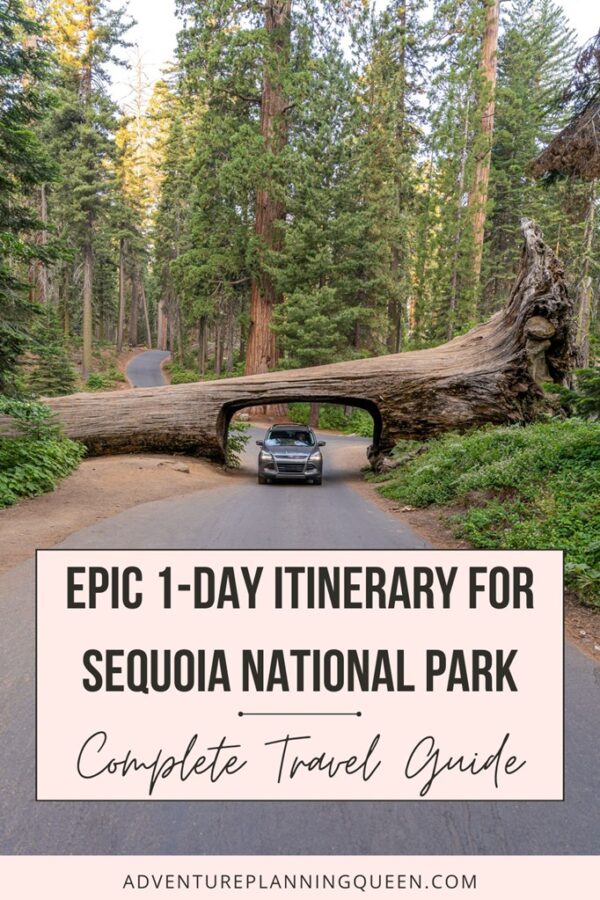 How to Spend One Day in Sequoia National Park (2026 guide)